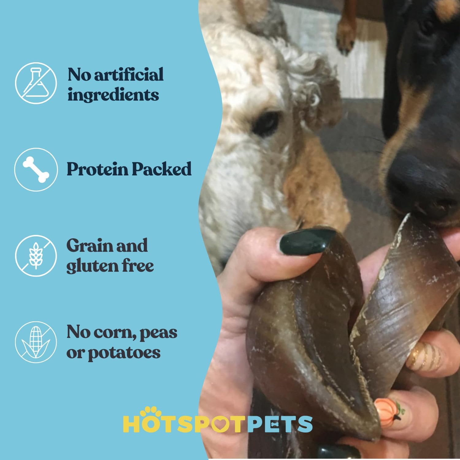 Cow Hooves for Dogs | All Natural Dog Chews | HotSpot Pets