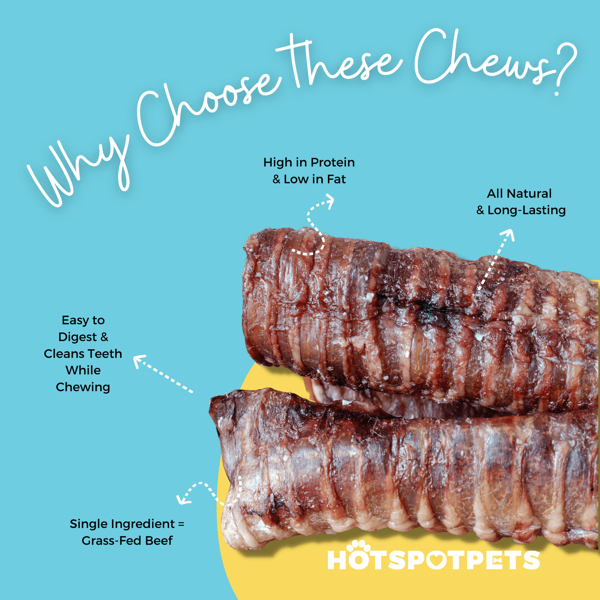 12" Whole Beef Trachea Tube Chews for Large & X-Large Dogs | HotSpot Pets
