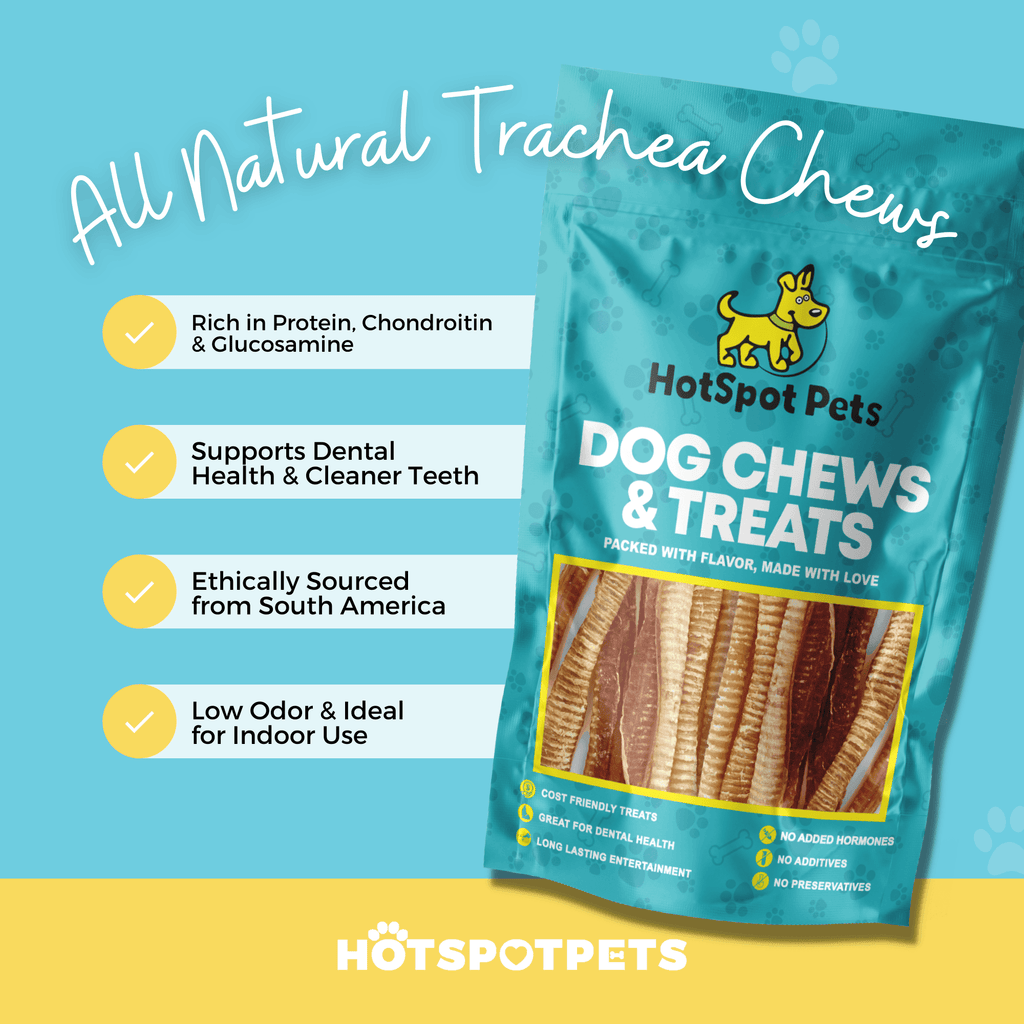 12" Whole Beef Trachea Tube Chews for Large & X-Large Dogs | HotSpot Pets