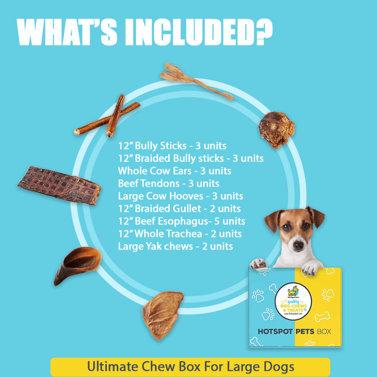 Ultimate Chew Box For All Sized Dogs – Hotspot Pets